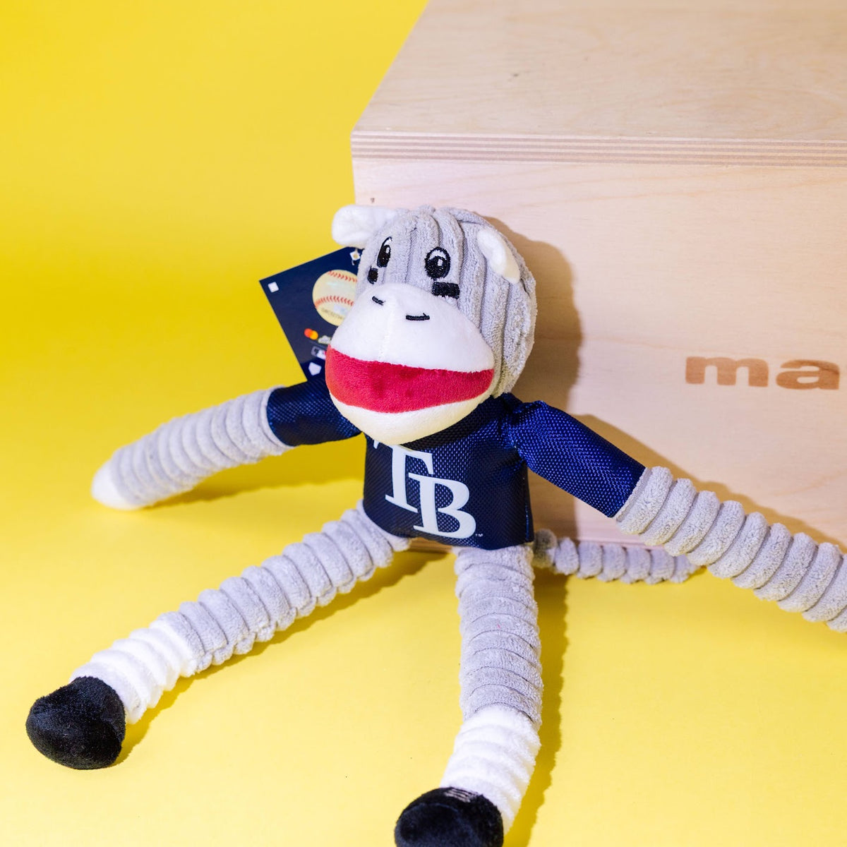 Rays Sock Monkey Pet Toy – Visit Tampa Bay