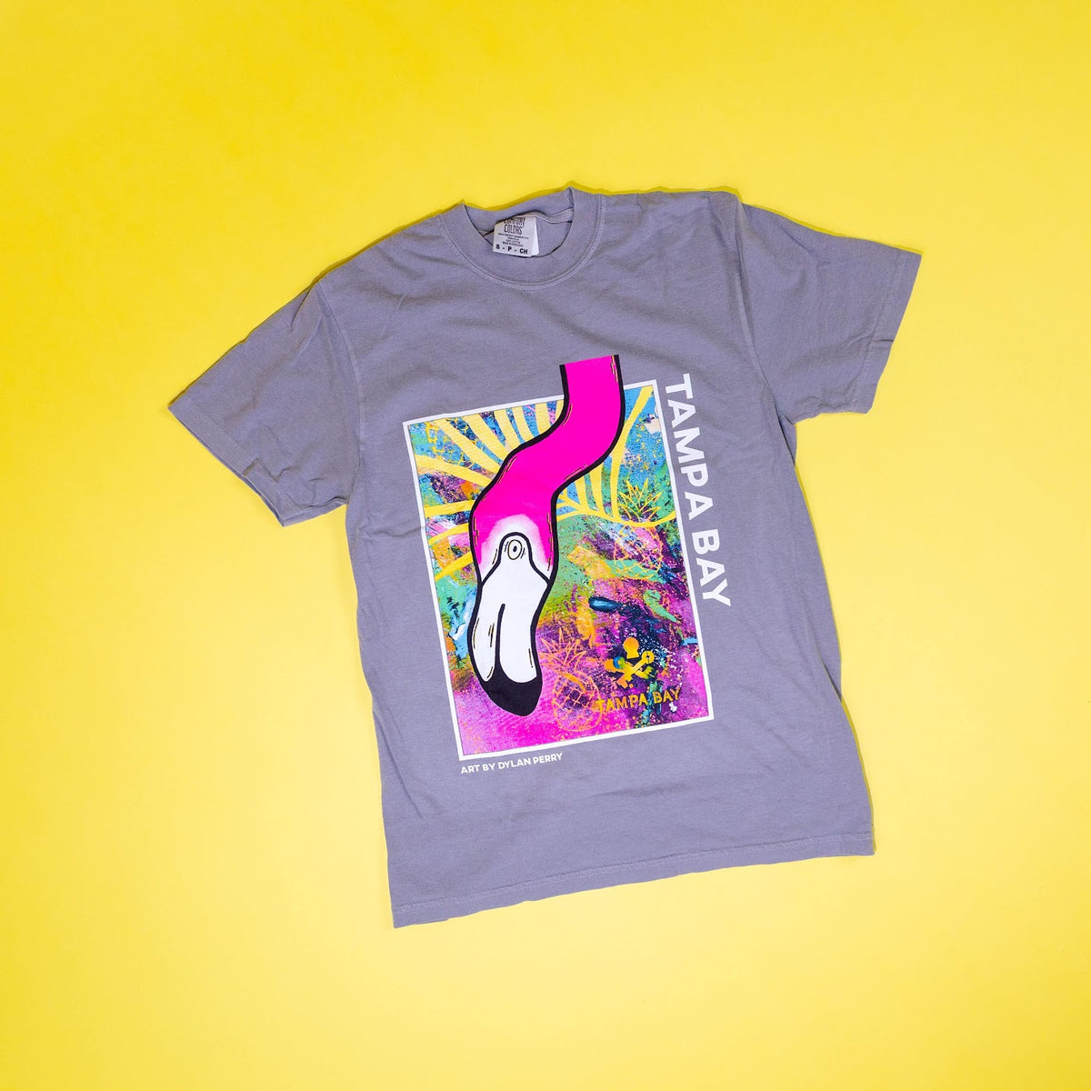 Dylan Perry Art Shirt - Grey – Visit Tampa Bay